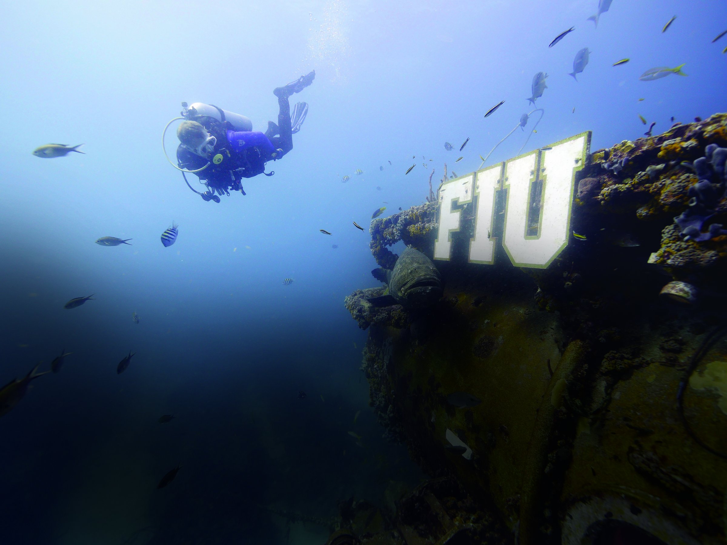 Tech Insider: Aquarius Reef Base | Mike Heithaus