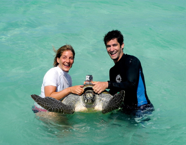 Sea Turtle Research Projects | Mike Heithaus